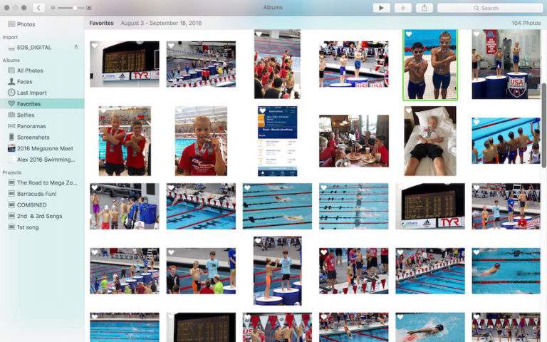 How to Make a Digital Photo Book: My Step-by-Step Process | Refined Rooms