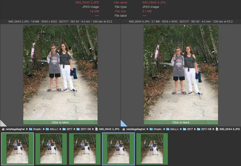 Digital Photo Duplicates {Digital Photo Organizing Challenge Week 6}
