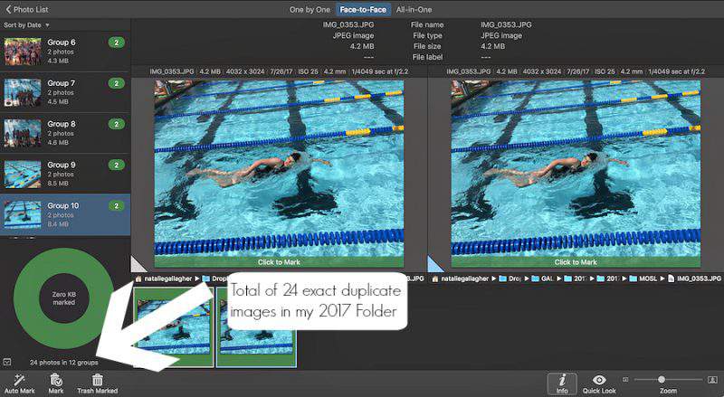 Digital Photo Duplicates {Digital Photo Organizing Challenge Week 6}