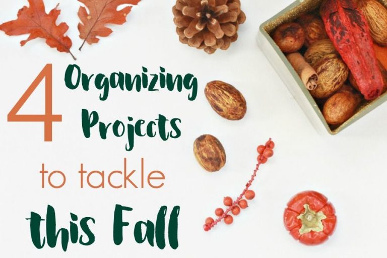 Paper Archives | Refined Rooms